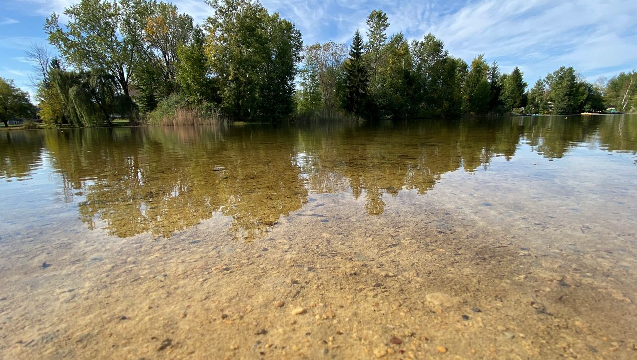 Timberland Invasives Partnership tackles invasive plants