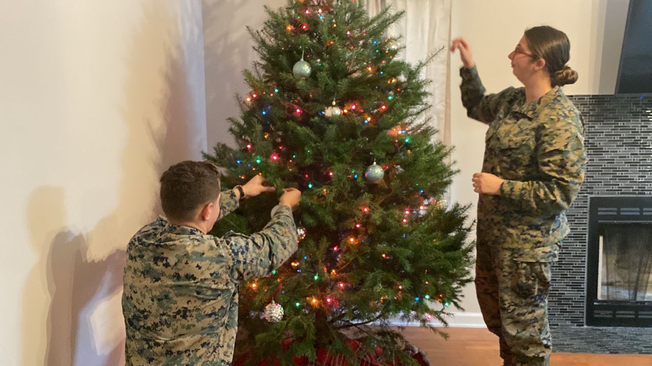 Trees for Troops