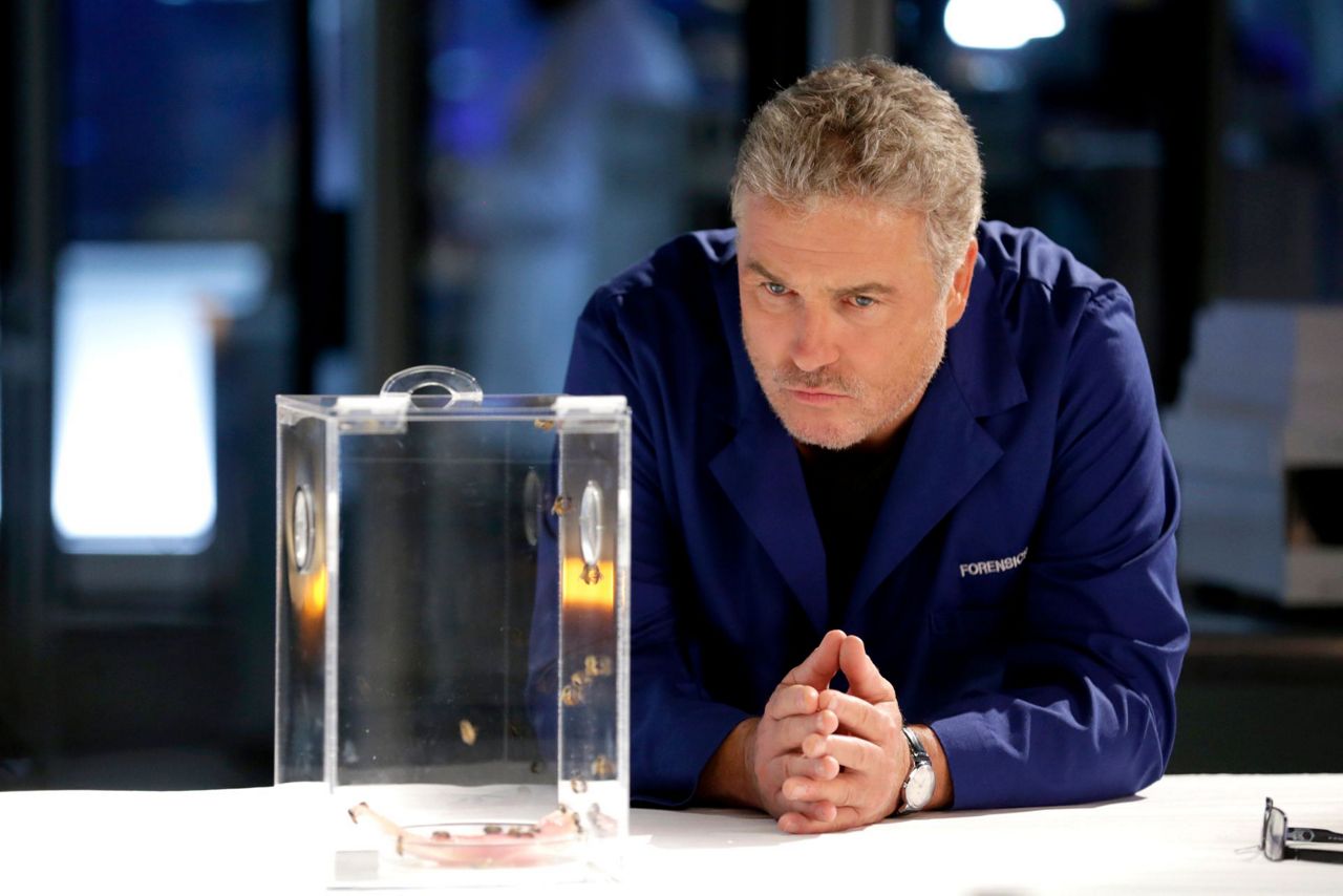 CBS bets on 'CSI' revival, 'NCIS,' 'FBI' franchises in fall