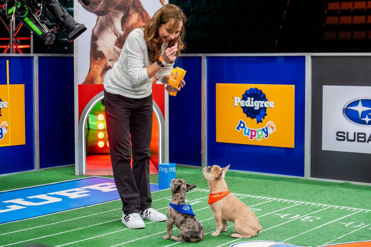 Meet the woman keeping the adorable pups happy at this year's 'Puppy Bowl'