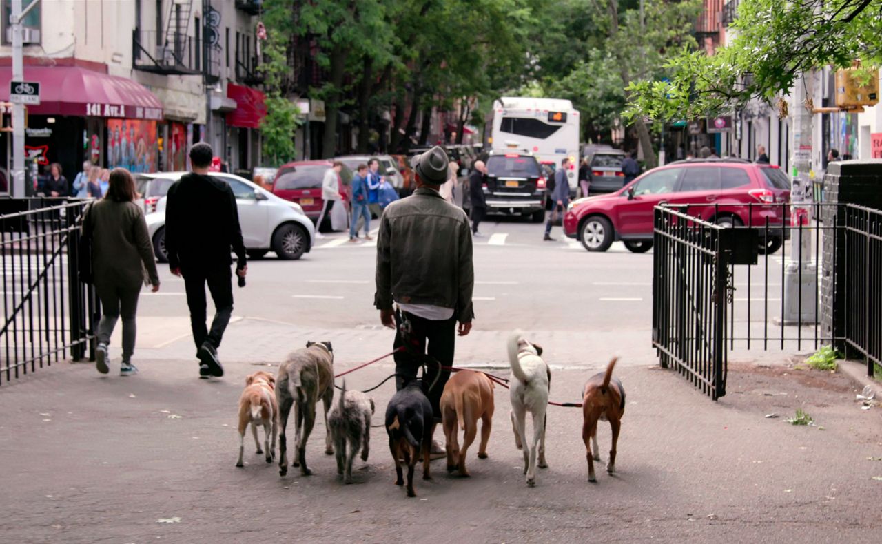 Netflix docu-series 'Dogs' lovingly serves up the human bond