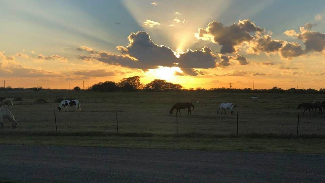 Dallas Weather Forecast