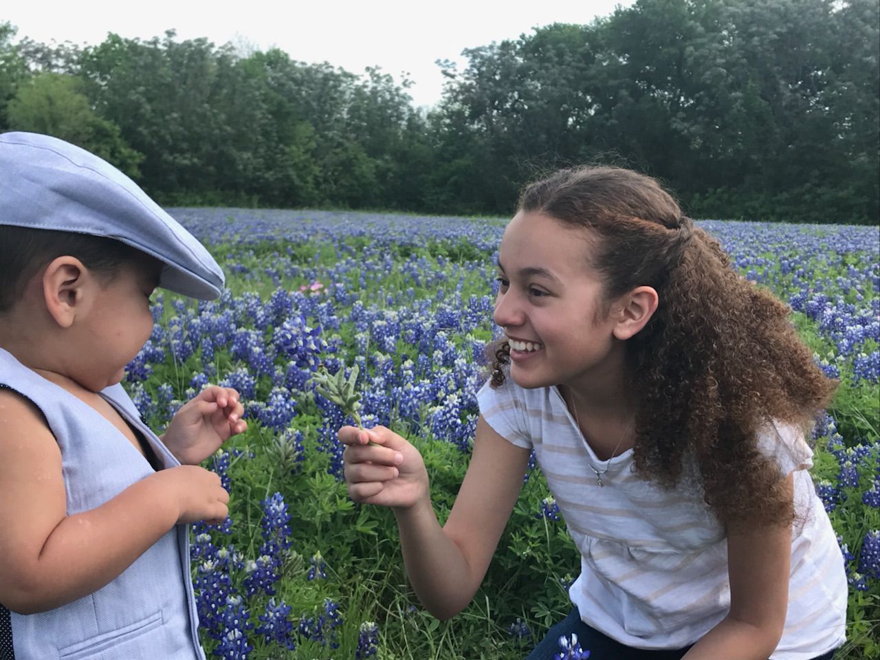 PHOTO GALLERY: Texas wildflowers