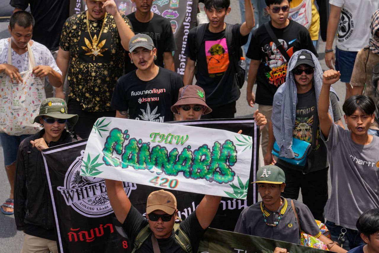 Cannabis advocates in Thailand protest a proposal to ban again its ...