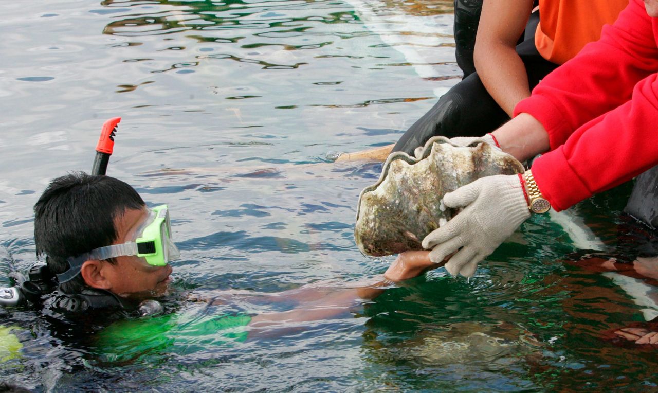 S.Korea actress charged in Thailand for catching giant clams