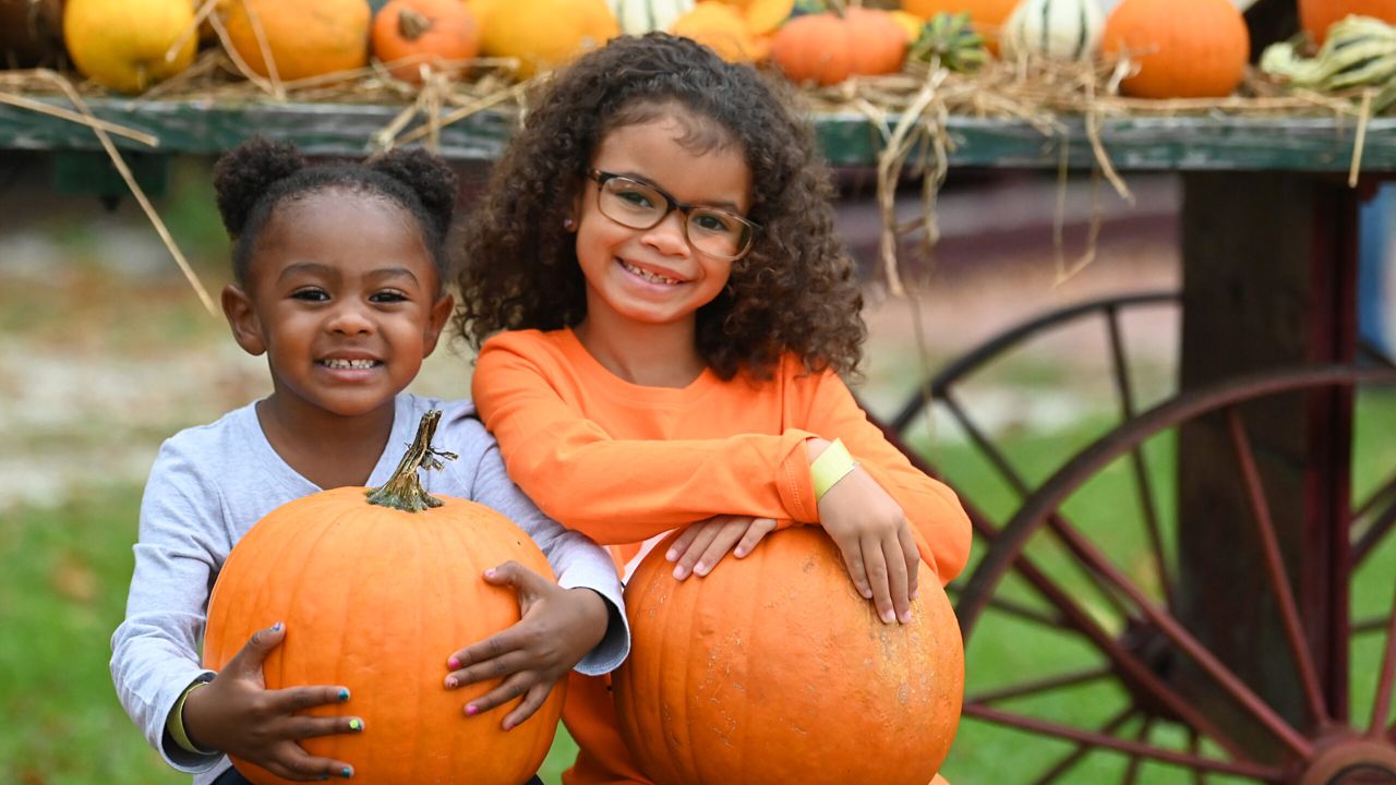 Your guide to fall festivals around Wisconsin