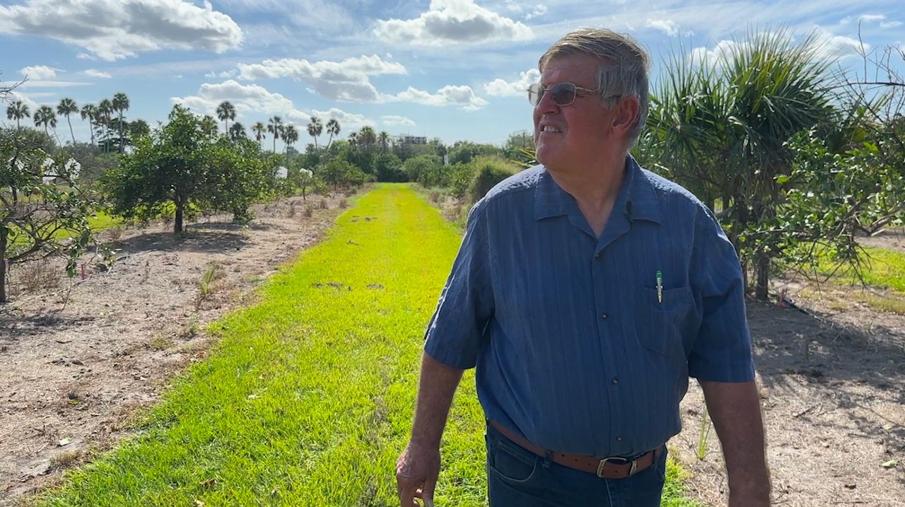 Tampa citrus farm shows significance of sanitizing crops