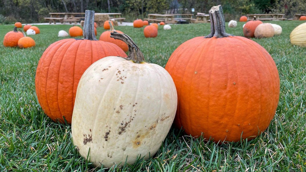 Things to do around Wisconsin: Oct. 11- 12