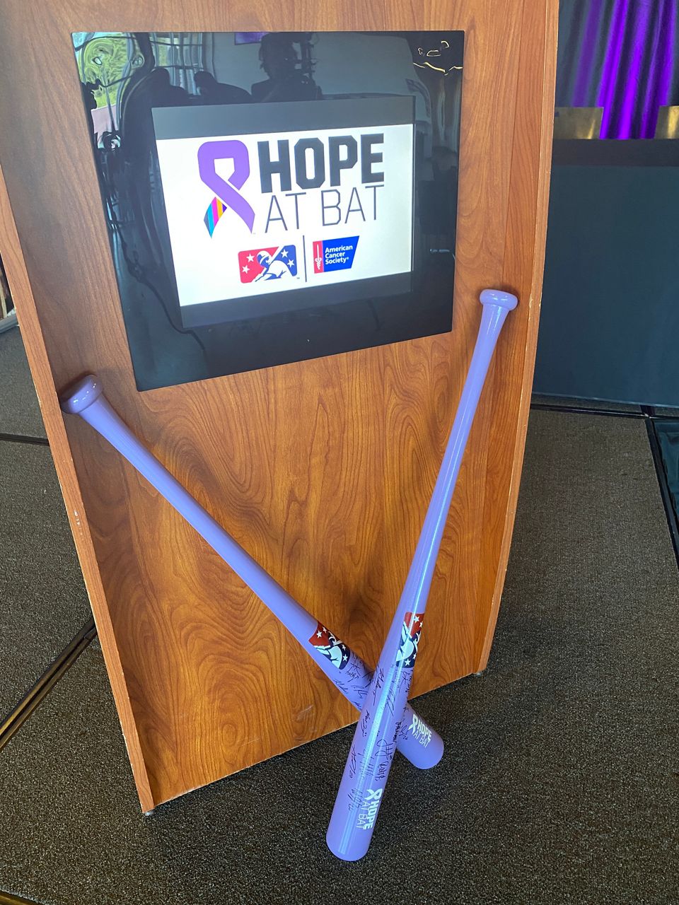 Timber Rattlers, MiLB come to bat to fight cancer
