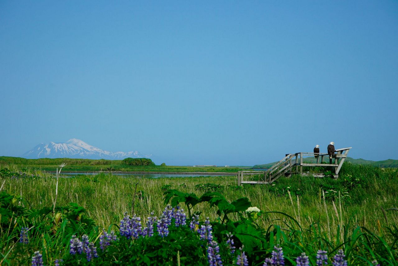 An off-grid getaway in Alaska’s remote Aleutian Islands