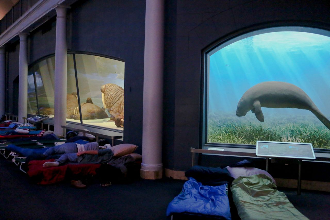 TravelLab: Adults take over science museums when night falls