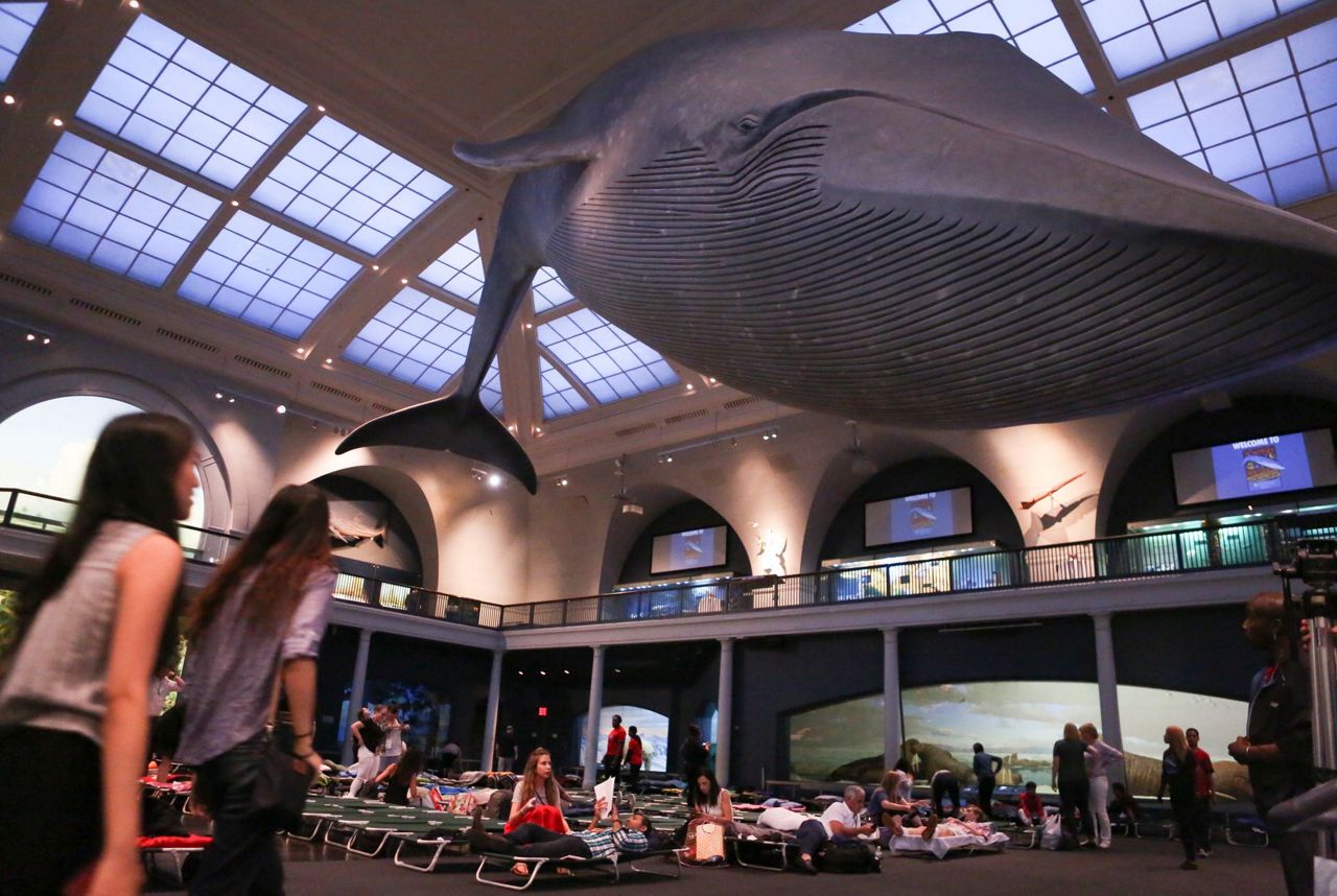 TravelLab: Adults take over science museums when night falls