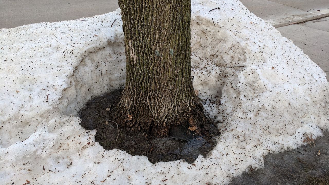 Why snow makes temperatures even colder