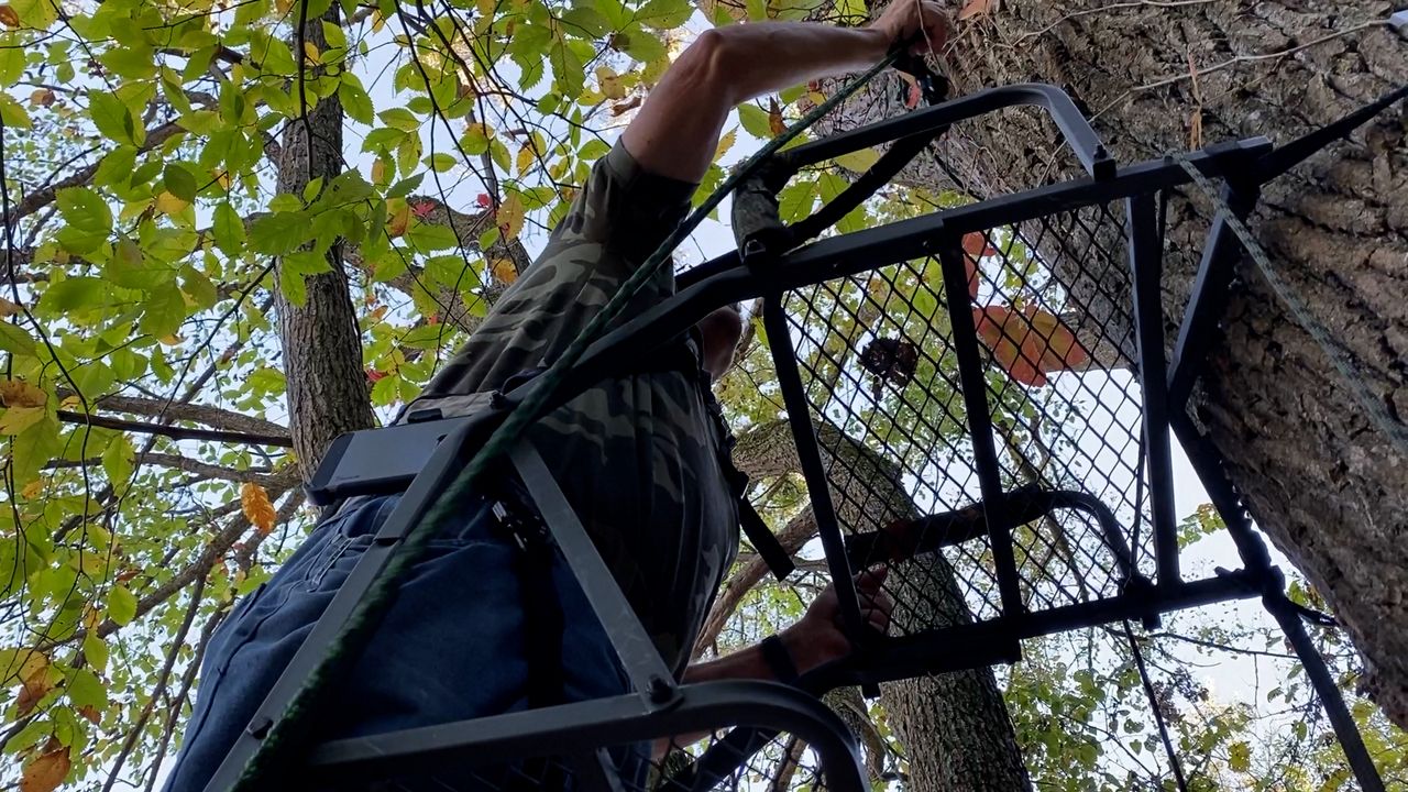 Wisconsin DNR stresses importance of tree stand safety