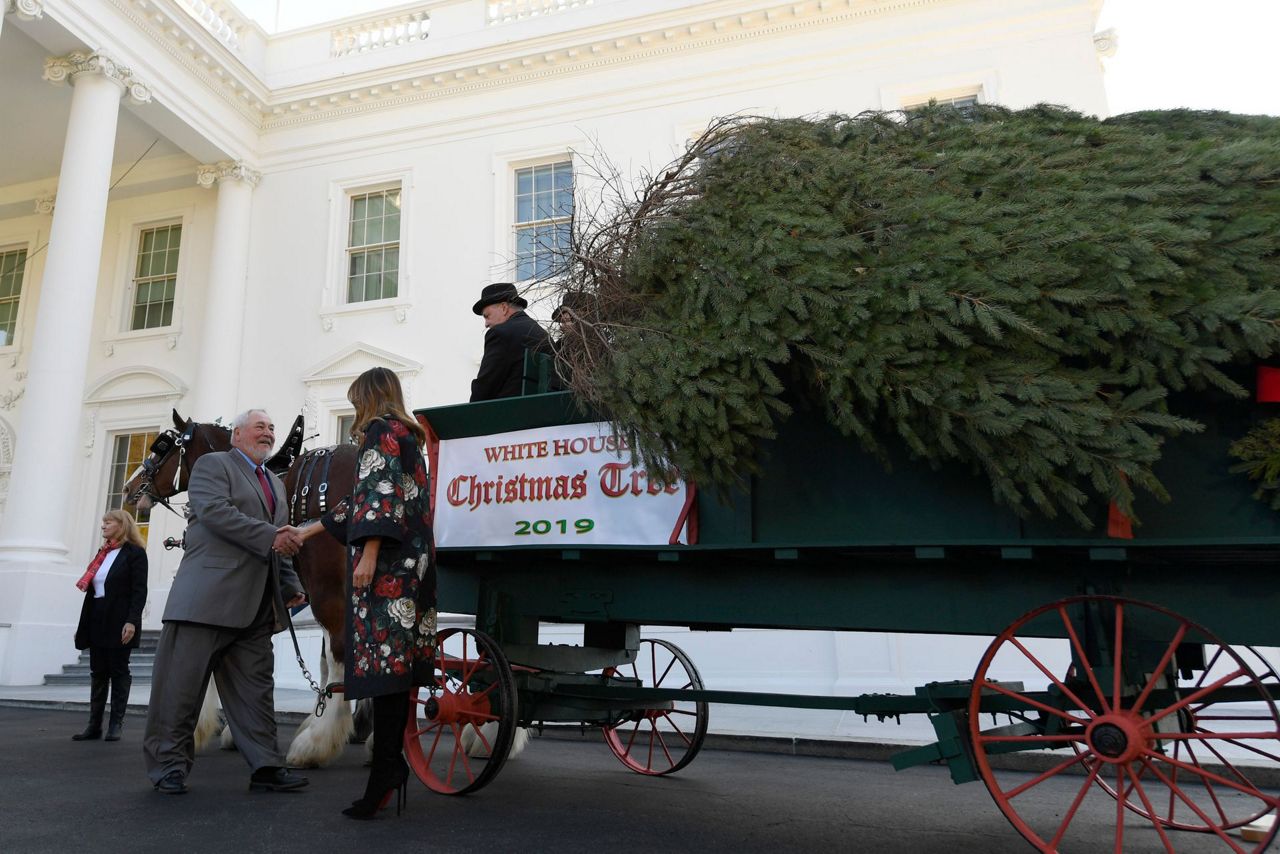 Melania Trump receives official White House Christmas tree