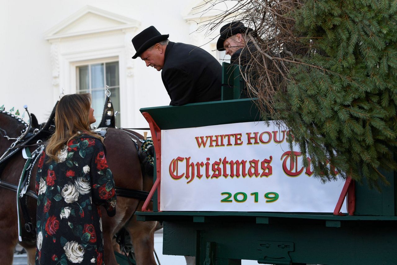 Melania Trump receives official White House Christmas tree