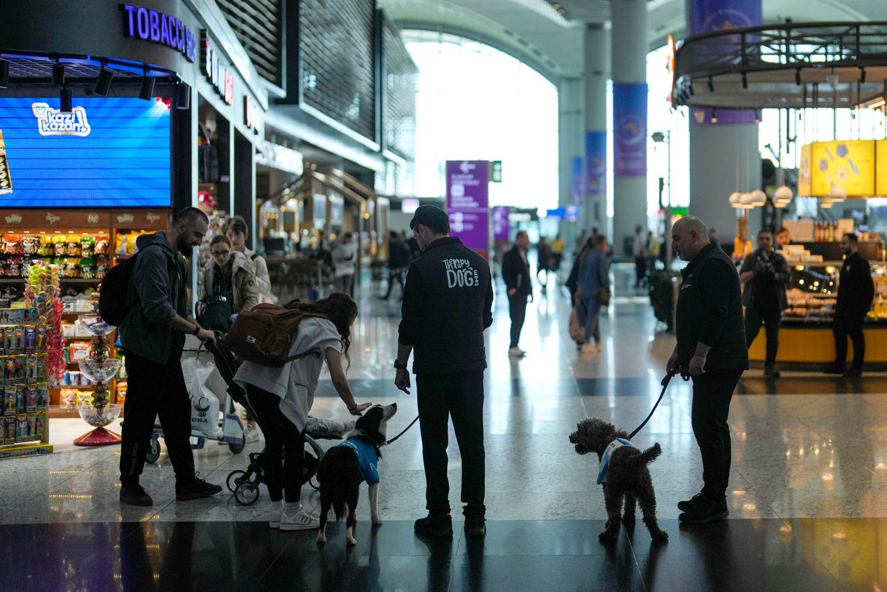 Istanbul airport provides anxious travelers with paw-sitive experience ...