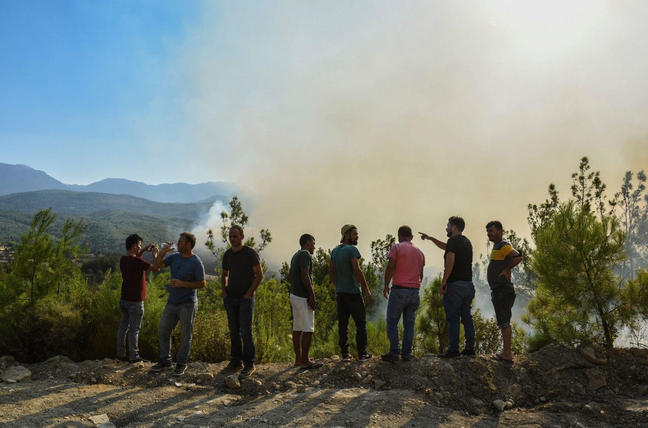 Majority of Turkey wildfires under control, official says