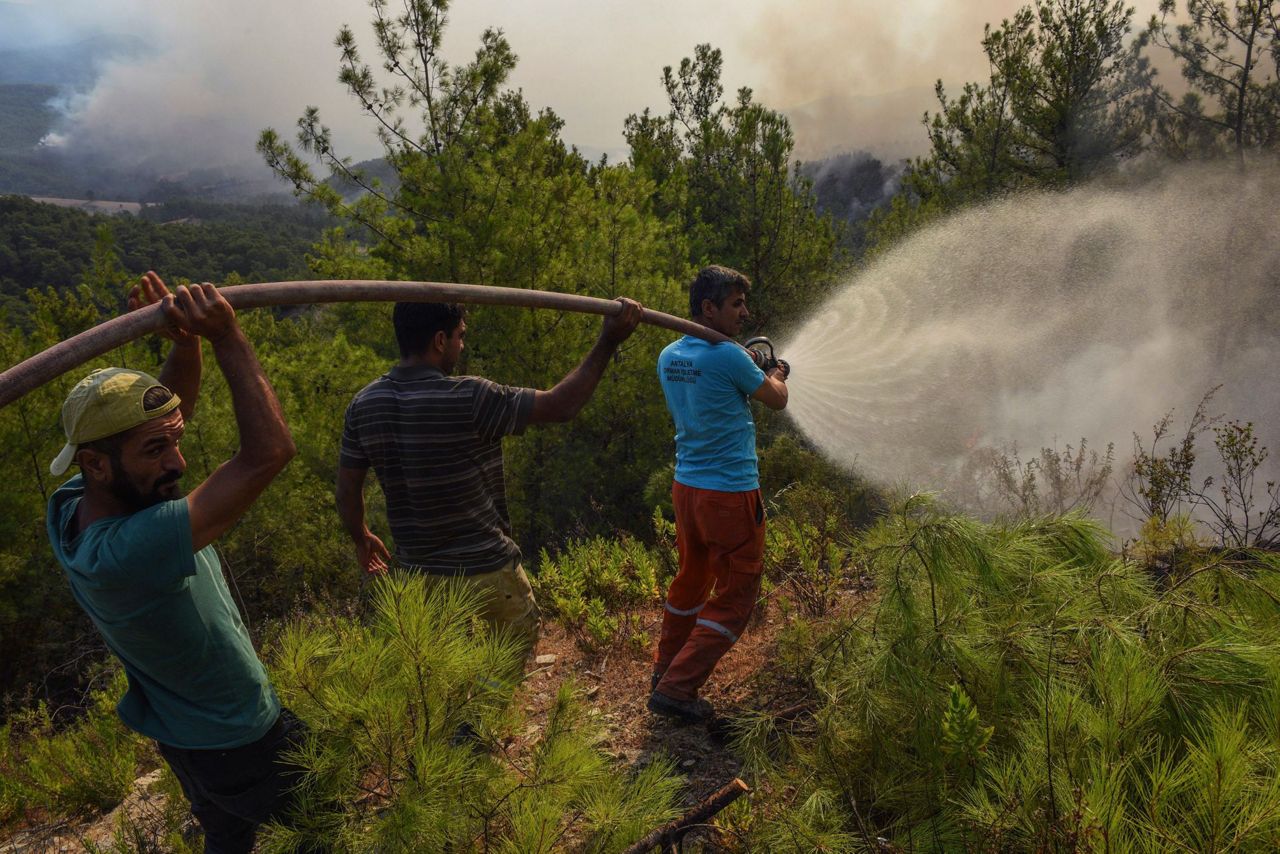 Majority of Turkey wildfires under control, official says