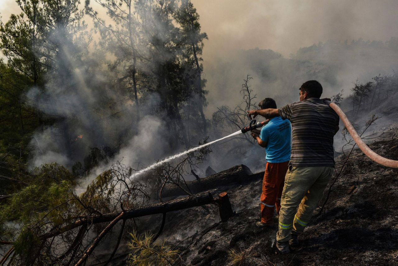 Majority of Turkey wildfires under control, official says