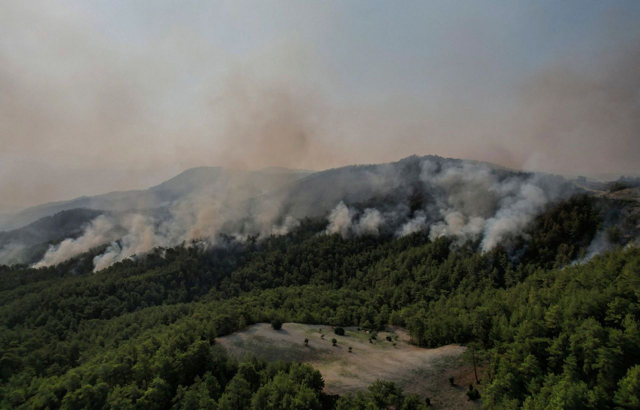 Majority of Turkey wildfires under control, official says