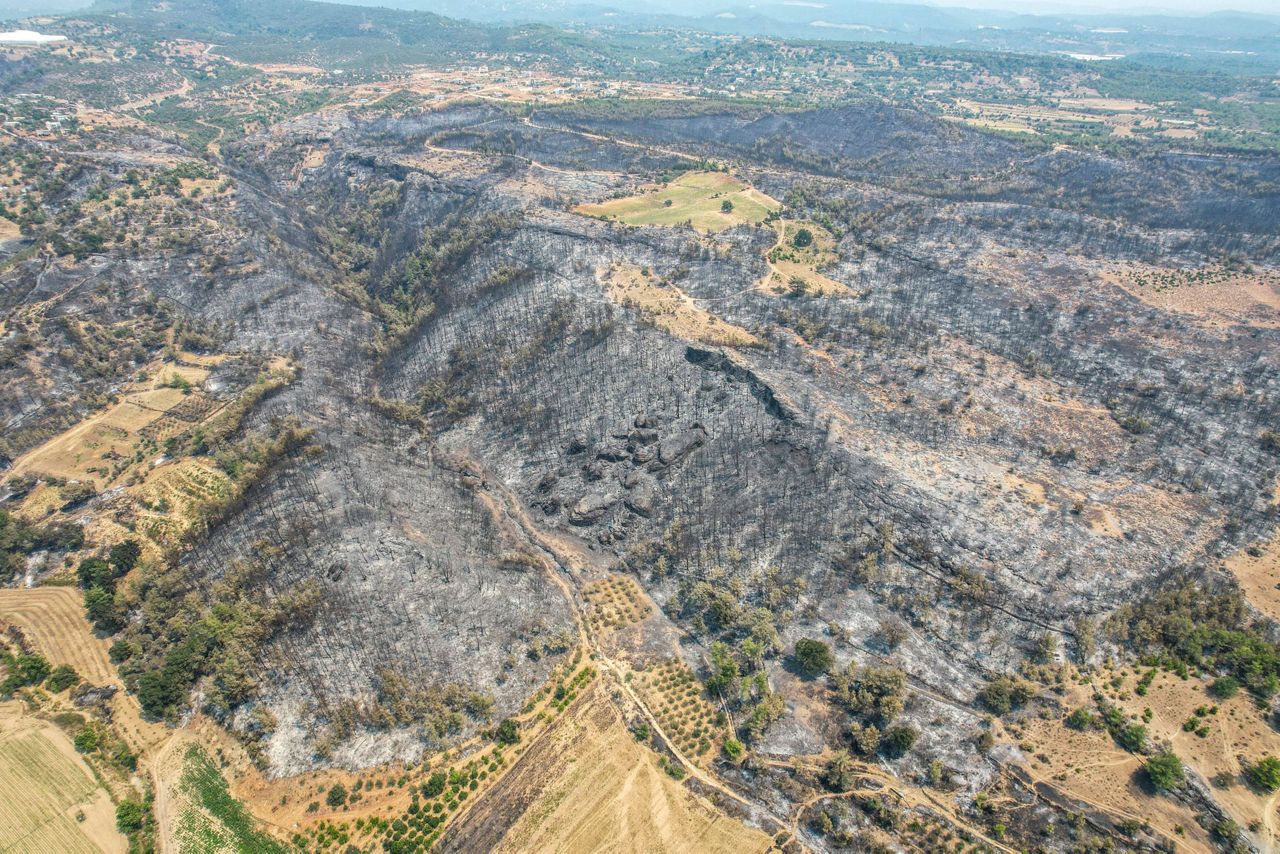 Death toll in wildfires that hit southern Turkey rises to 4