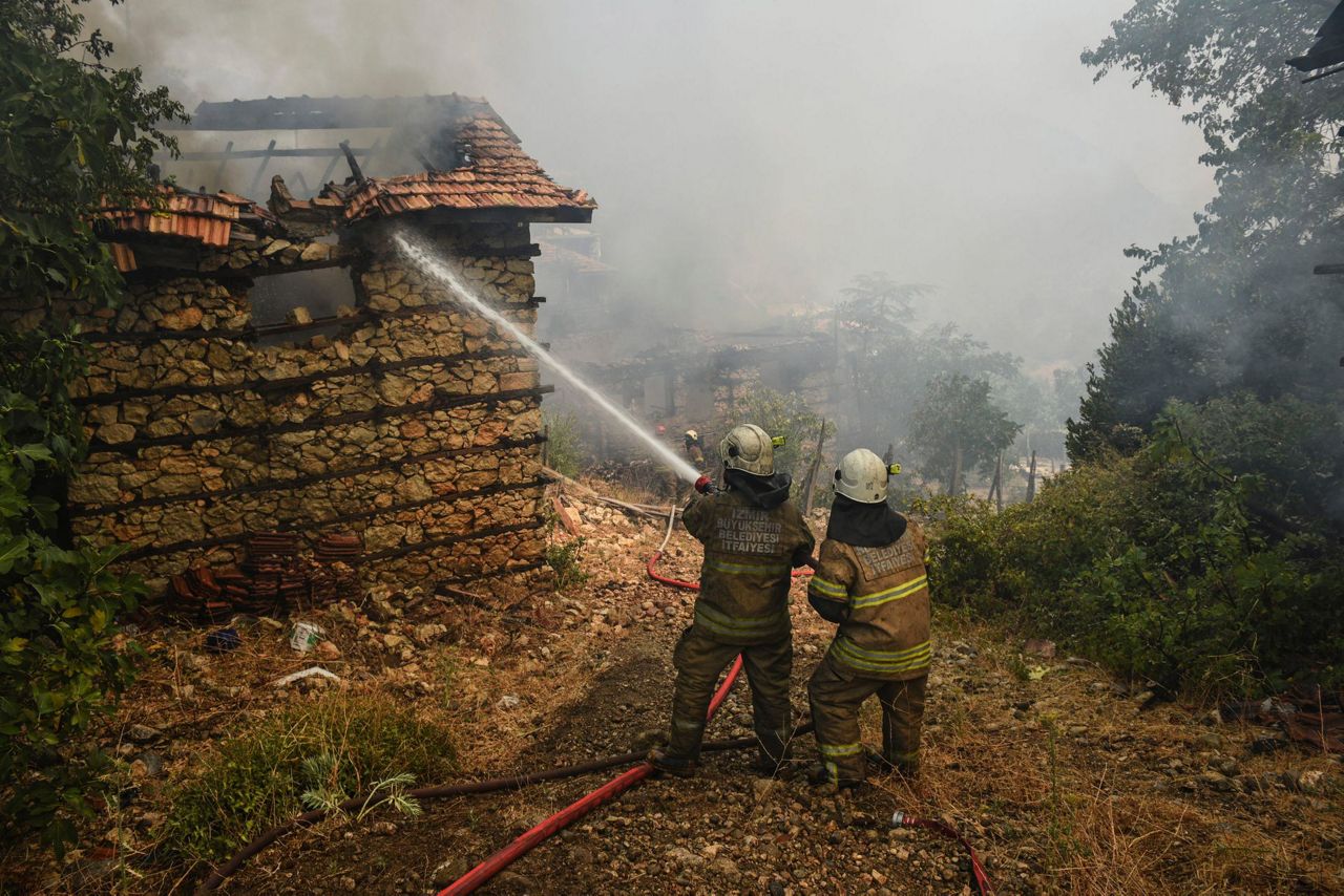 Majority of Turkey wildfires under control, official says