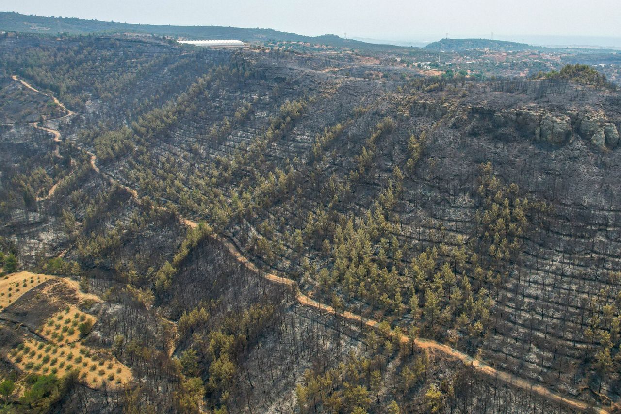 Death toll in wildfires that hit southern Turkey rises to 4