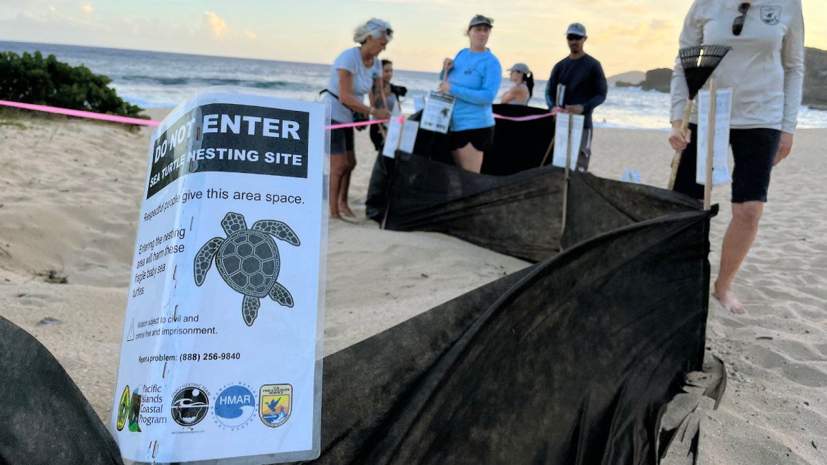 Lights off at Sandy Beach Park to help native wildlife