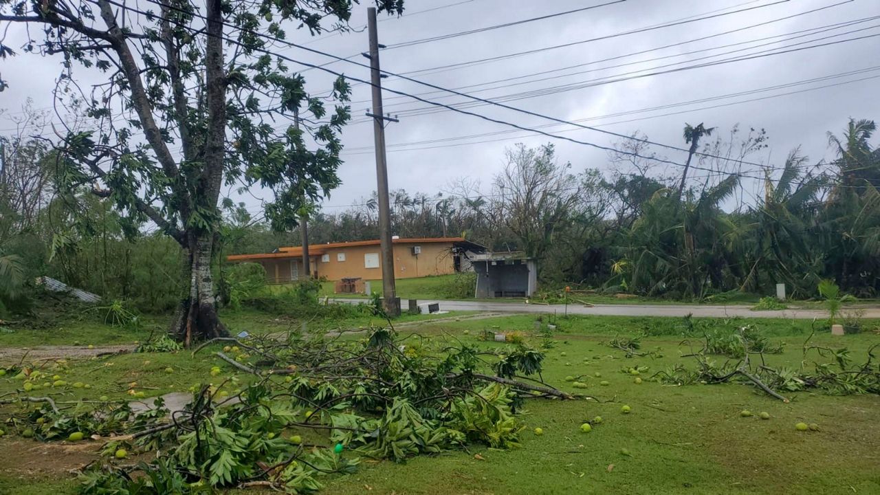 Day after Typhoon Mawar hit Guam, 'what used to be a jungle looks like ...