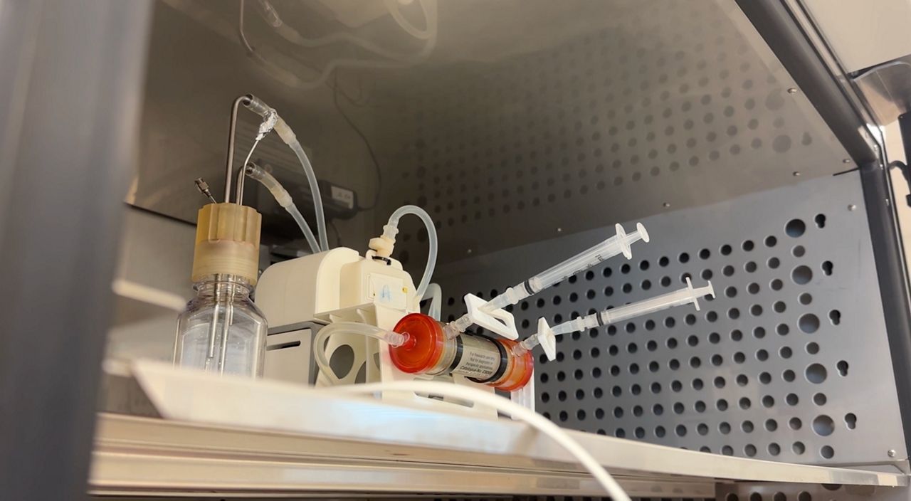 UB studying phages to help combat antibiotic resistance