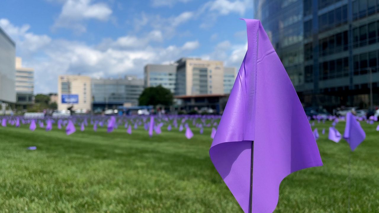 Field of purple flags remembers lives lost to overdoses