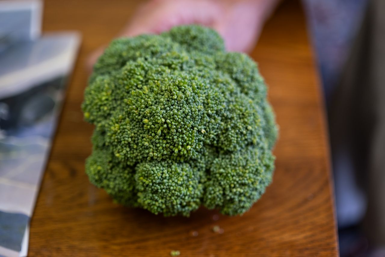 Cornell researcher creates broccoli variety for East Coast