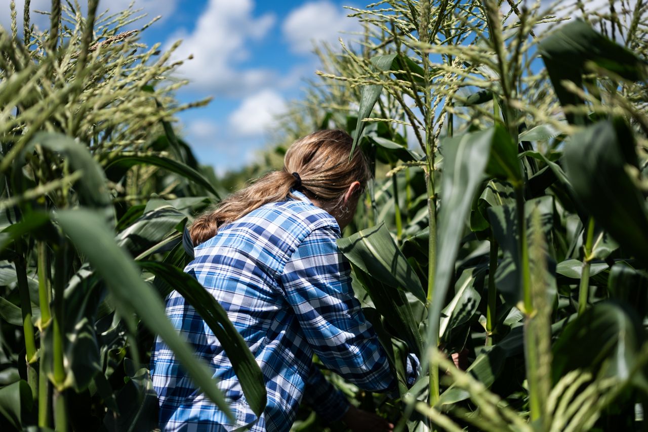 State loses farmland to residential, solar developments