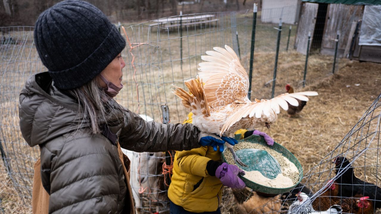 Photo Essay: A look back at 2023 on New York farms