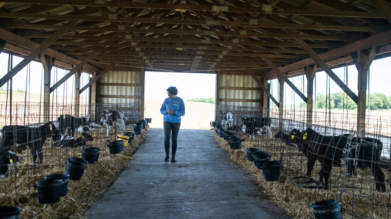 Morning Briefing in Buffalo: January 30