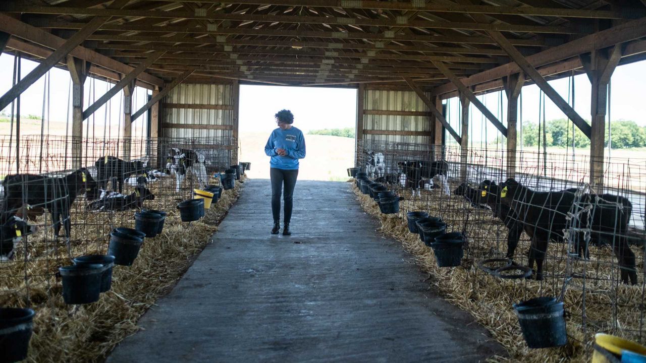 How Fairlife's new Webster plant could benefit dairy farmers