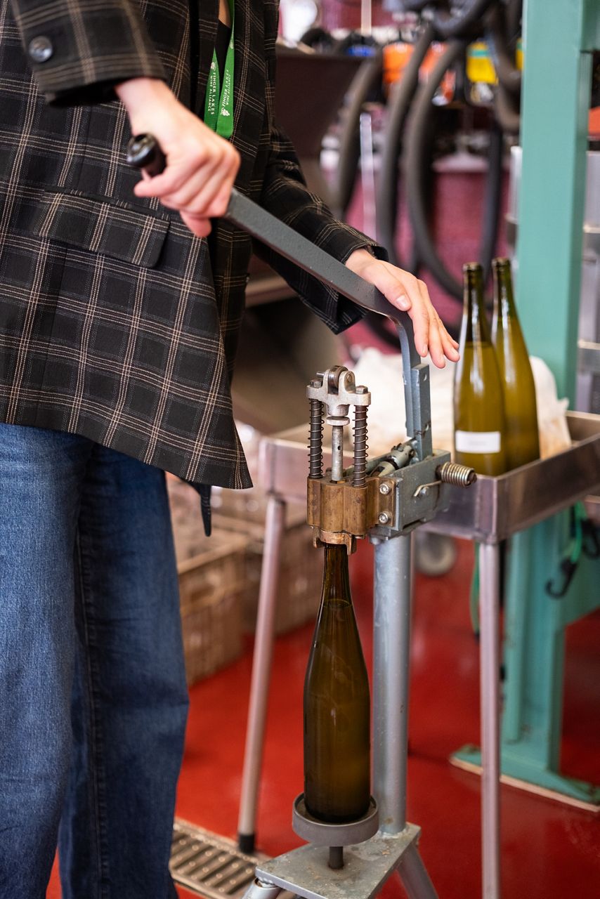 Finger Lakes Riesling draws wine professionals from all over