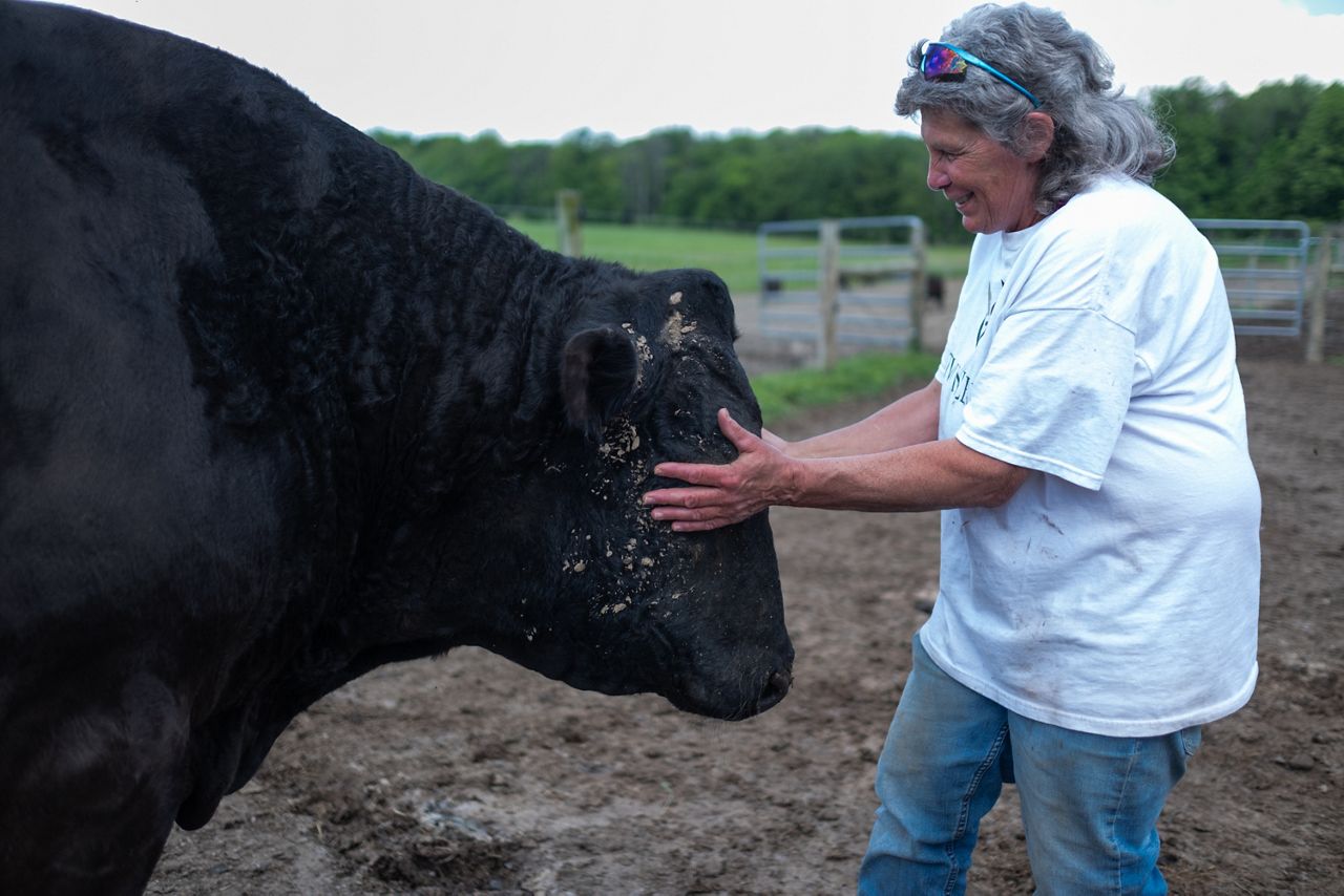 Farm to table: How unique Wagyu beef hits CNY menus