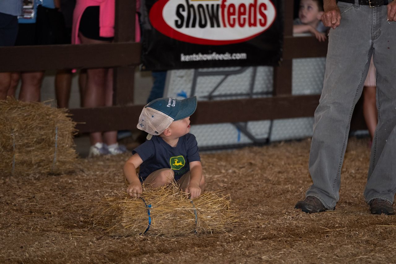 Unique competitions at the New York State Fair