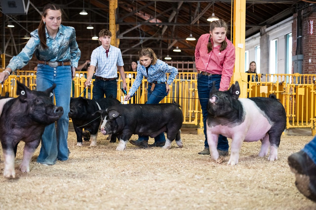 All you need to know for the 2024 New York State Fair