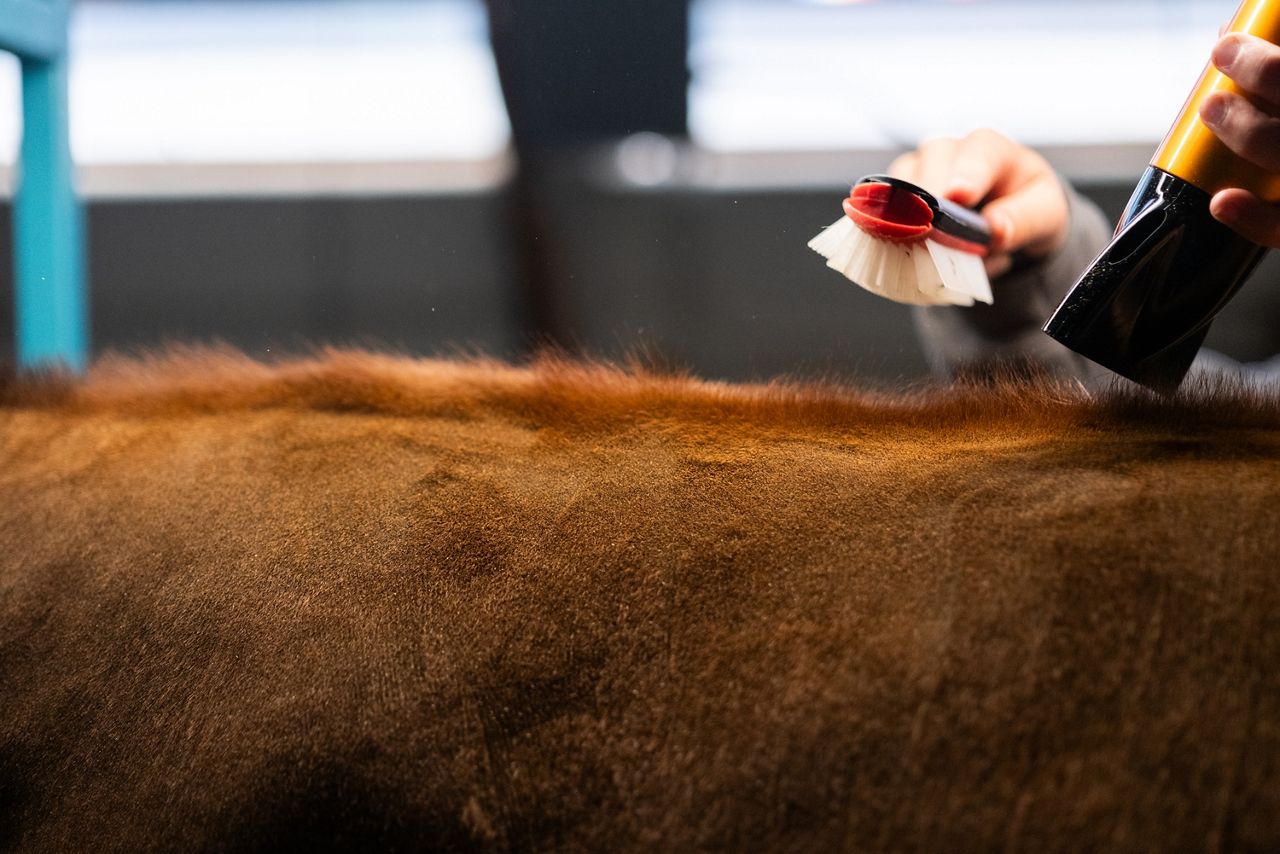 All you need to know for the 2024 New York State Fair