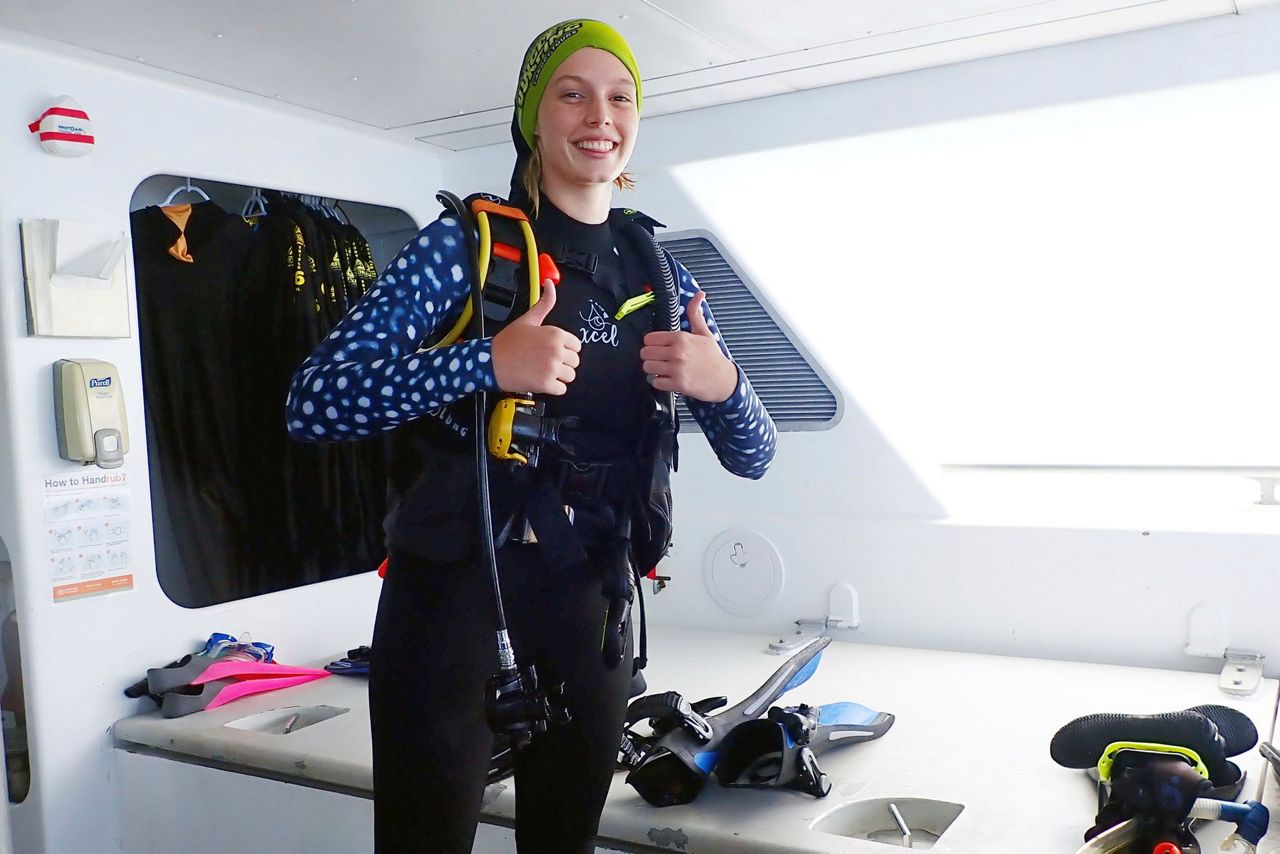 'Crisis': Climate panel flags Great Barrier Reef devastation