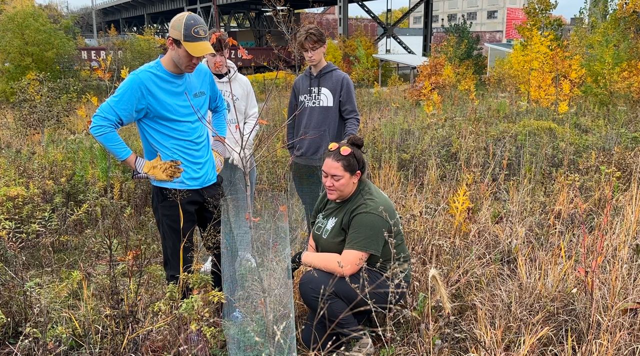 Urban Ecology Center encourages people to volunteer for ROOT