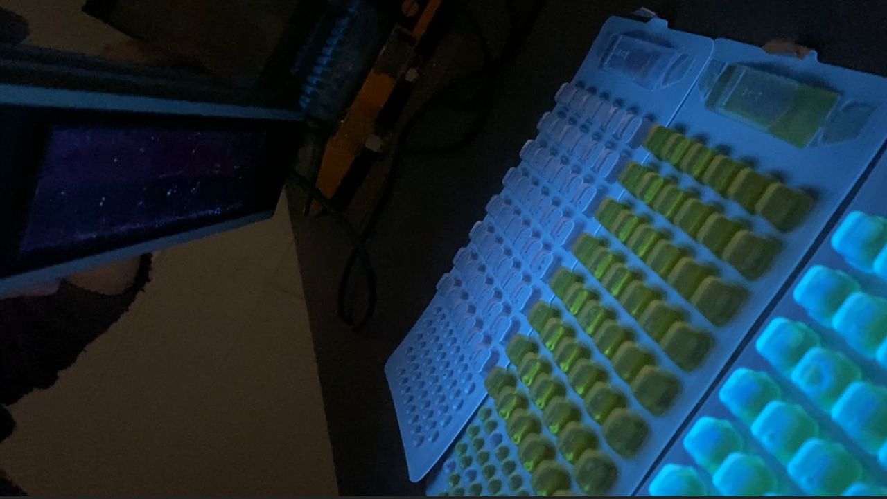 UW-Stevens Point Lab marks 50 years