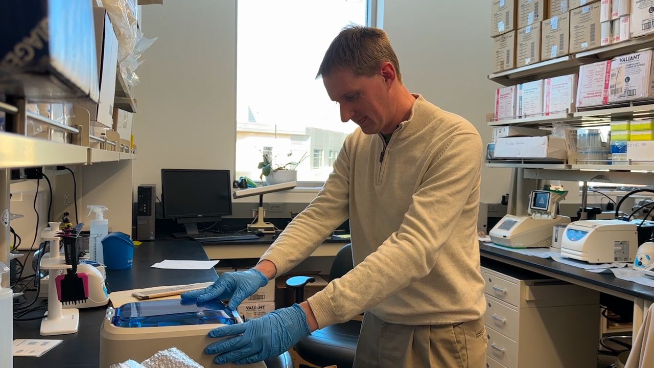 UW-La Crosse professor studies invasive weed