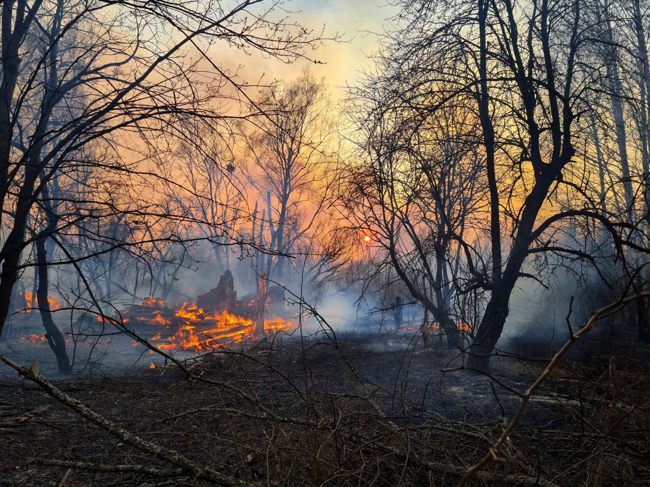 Forest fire near Chernobyl boosts radiation level