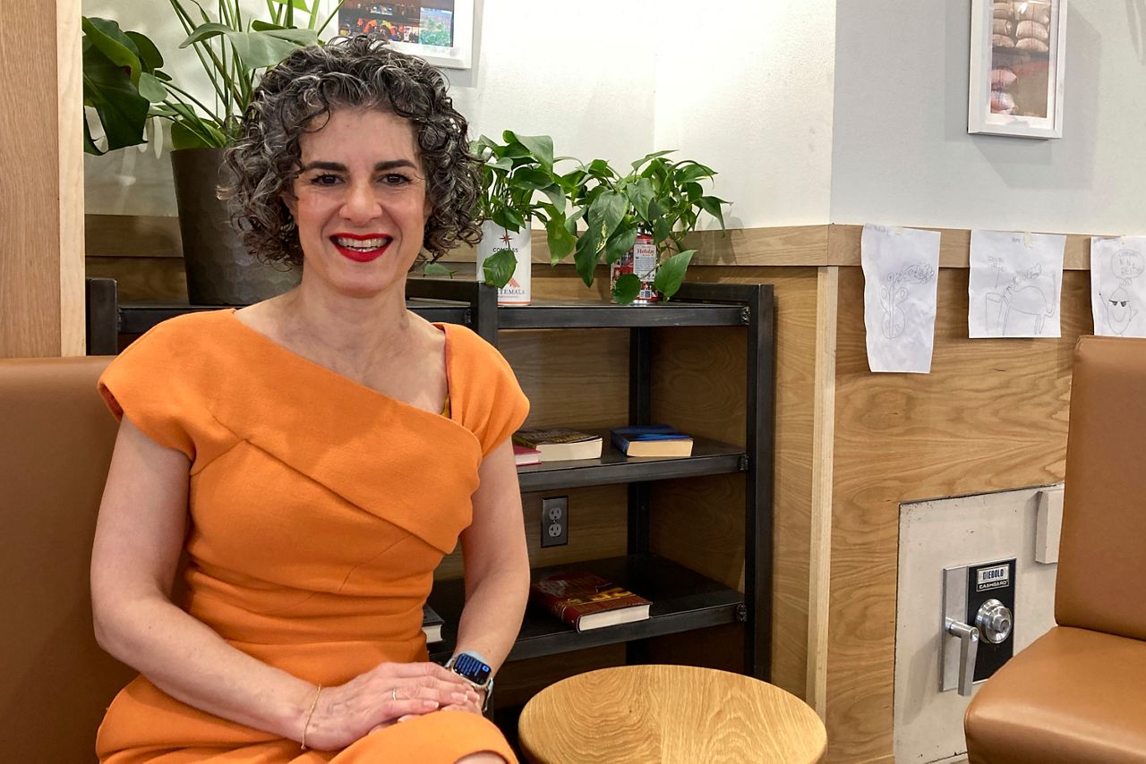 Virginia primaries: State senators ousted in election