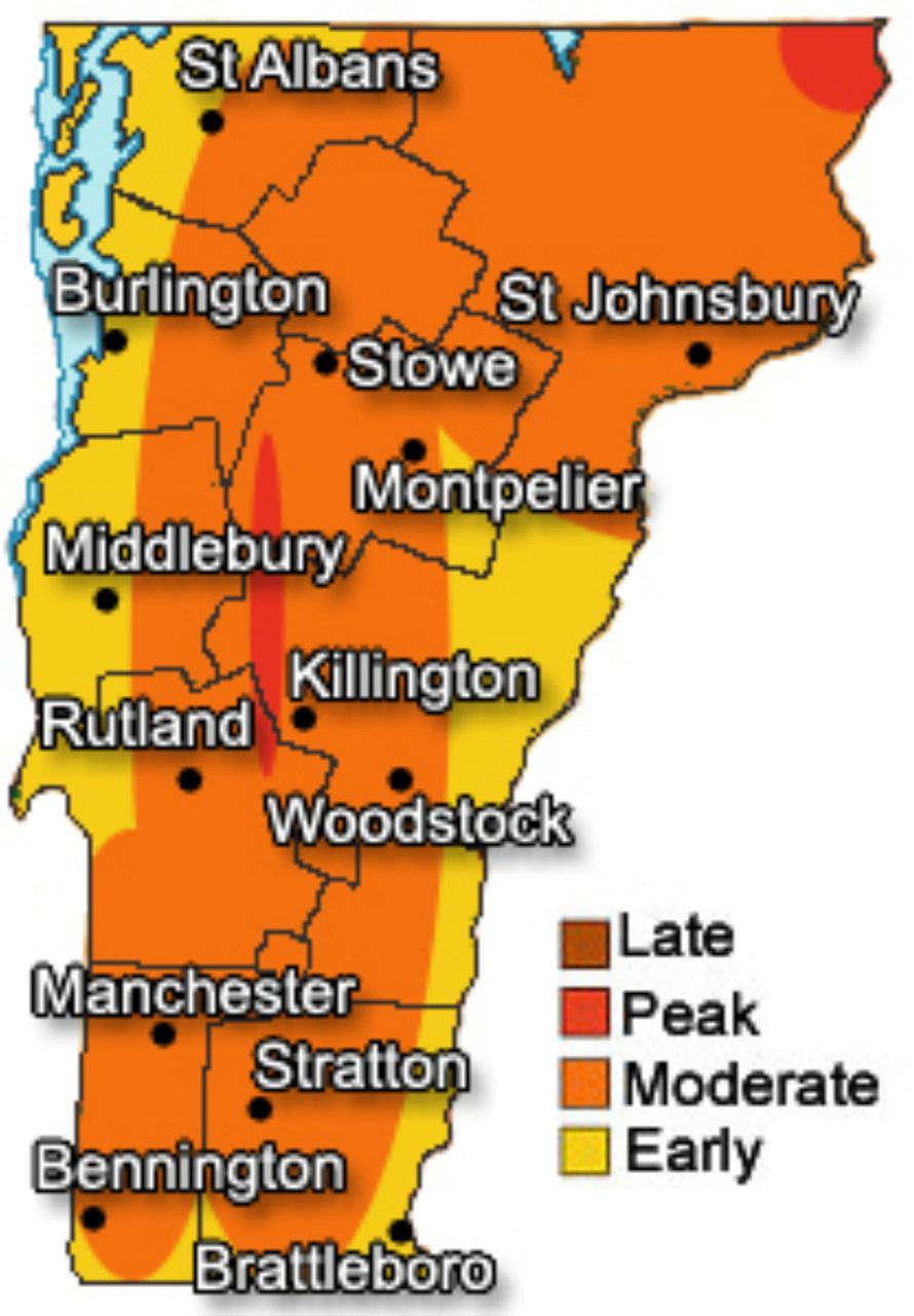 Fall Foliage This Weekend