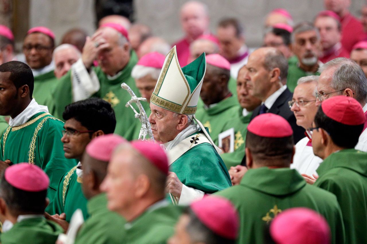 Pope opens Amazon meeting amid fires, right-wing opposition